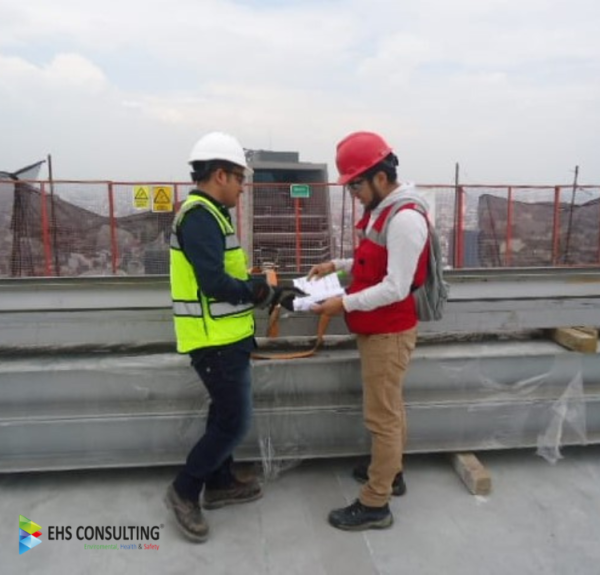 Gerenciamiento y supervisión EHS Consulting México.